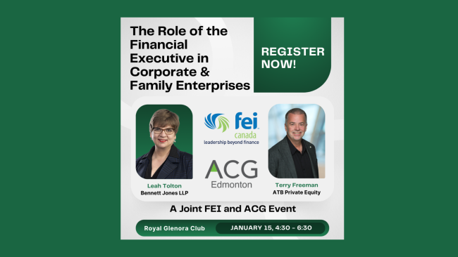 The Role of the Financial Executive in Corporate & Family Enterprise ...